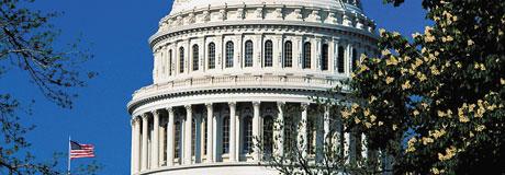 Capitol Comments: Selling Functional Foods in Korea - Nutraceuticals World