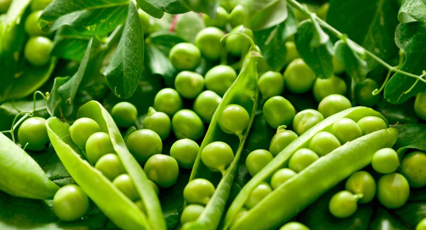 Cyvex Nutrition Partners with SloIron Inc. to Distribute Plant-Based ...