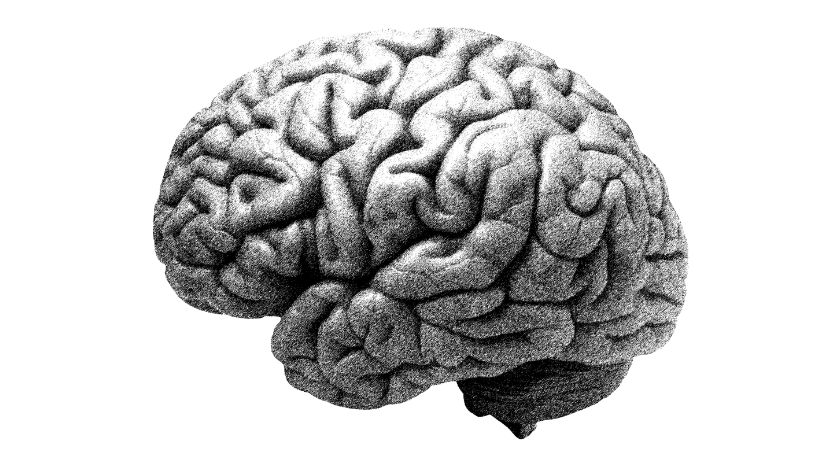 Low Choline Status and Obesity Linked to Marker of Brain Damage: Study ...